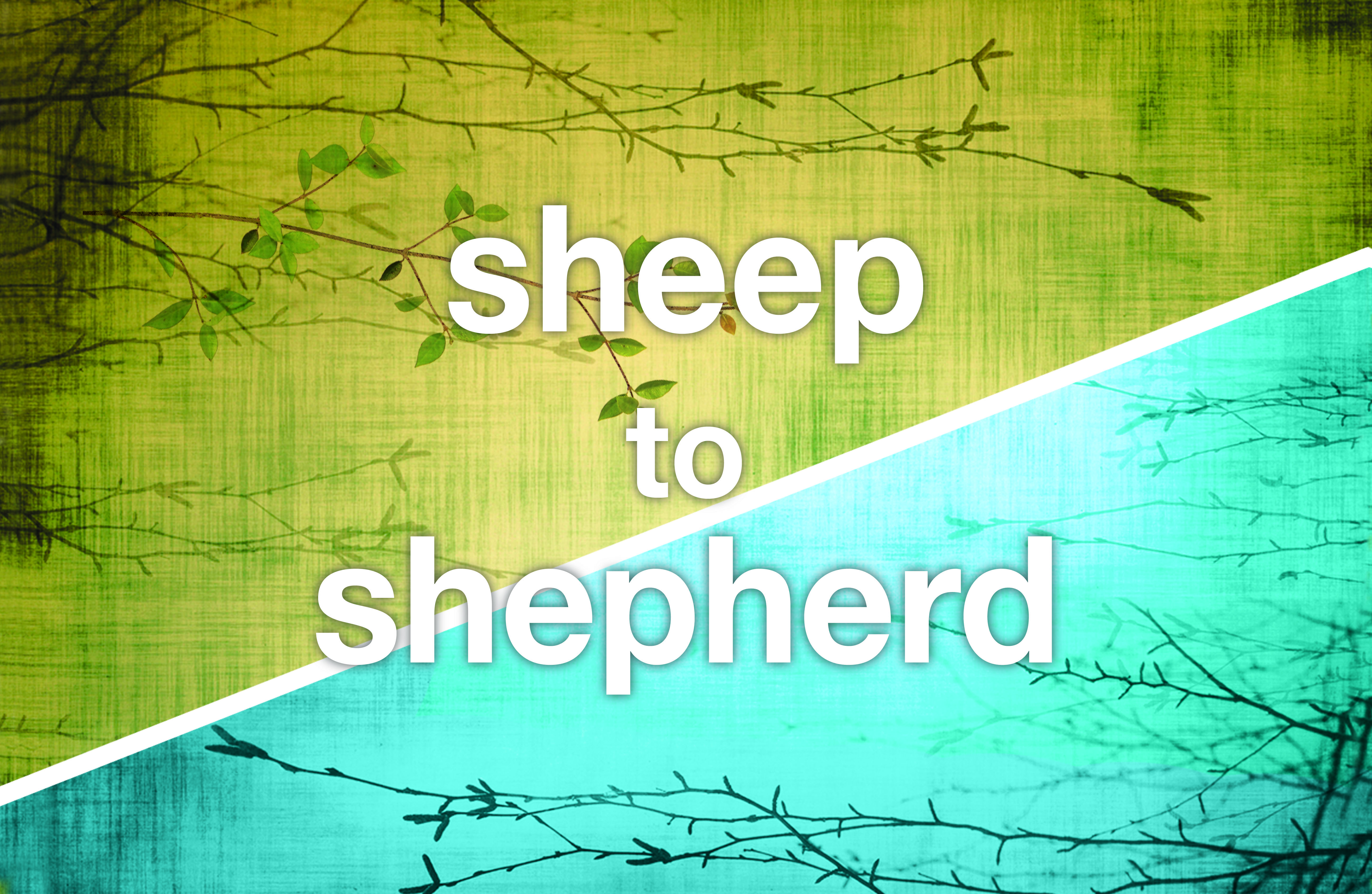 Poster Sheep to Shepherd – NHCO