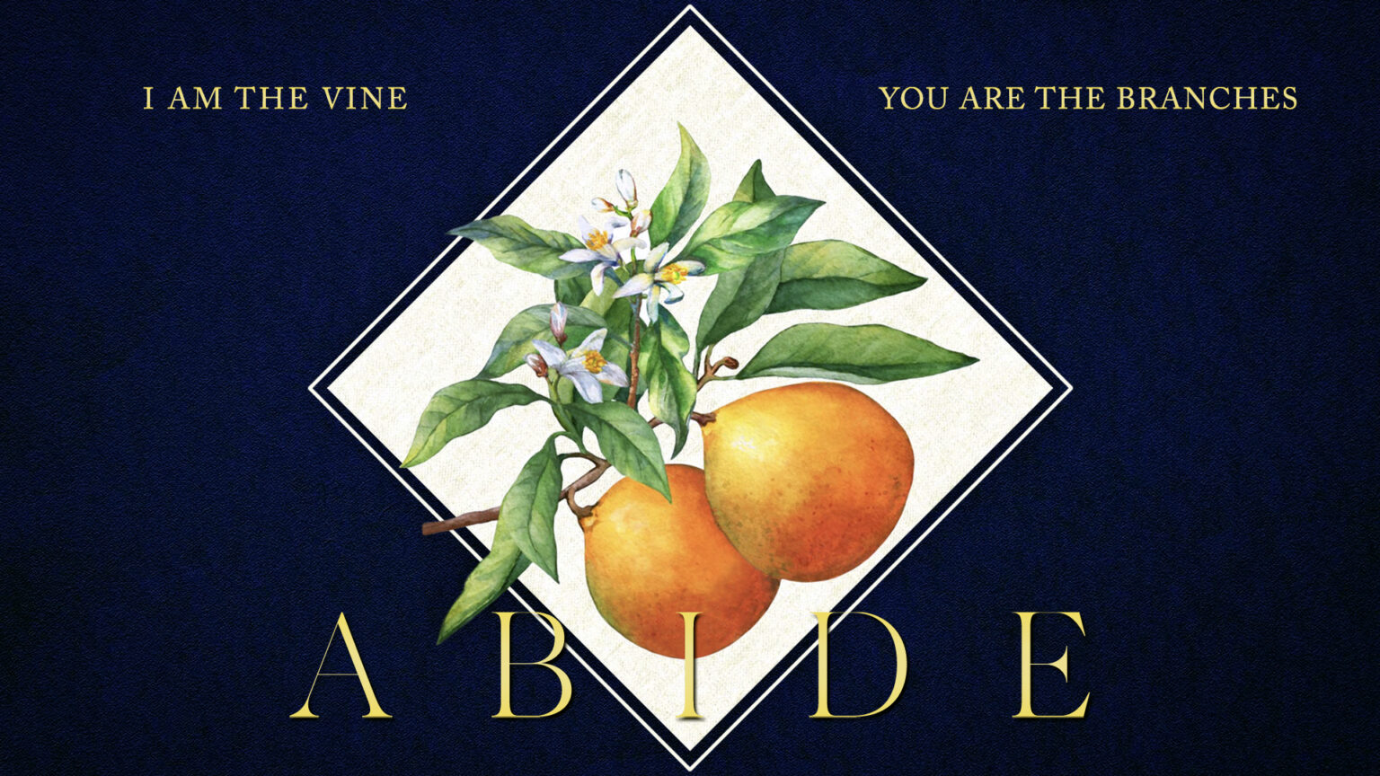 ABIDE artwork – NHCO
